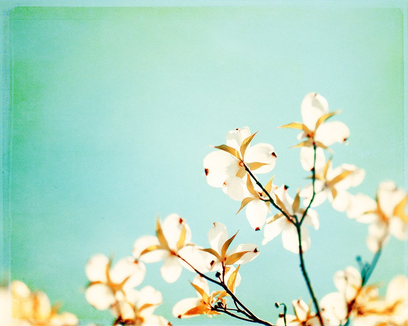Nature Gallery Wall Photography Prints, Yellow Gold Teal Tones (set of ...