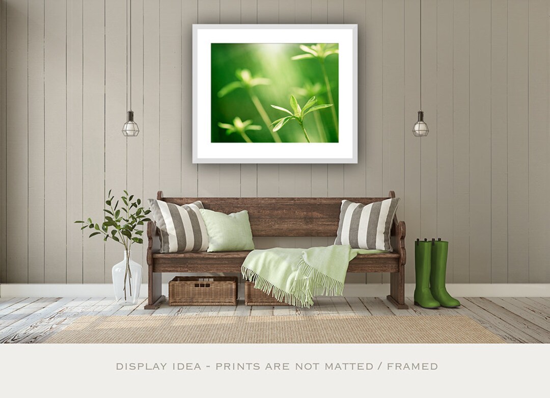 Modern Farmhouse Prints - Green Woodland Decor, Botanical Print, Plant ...