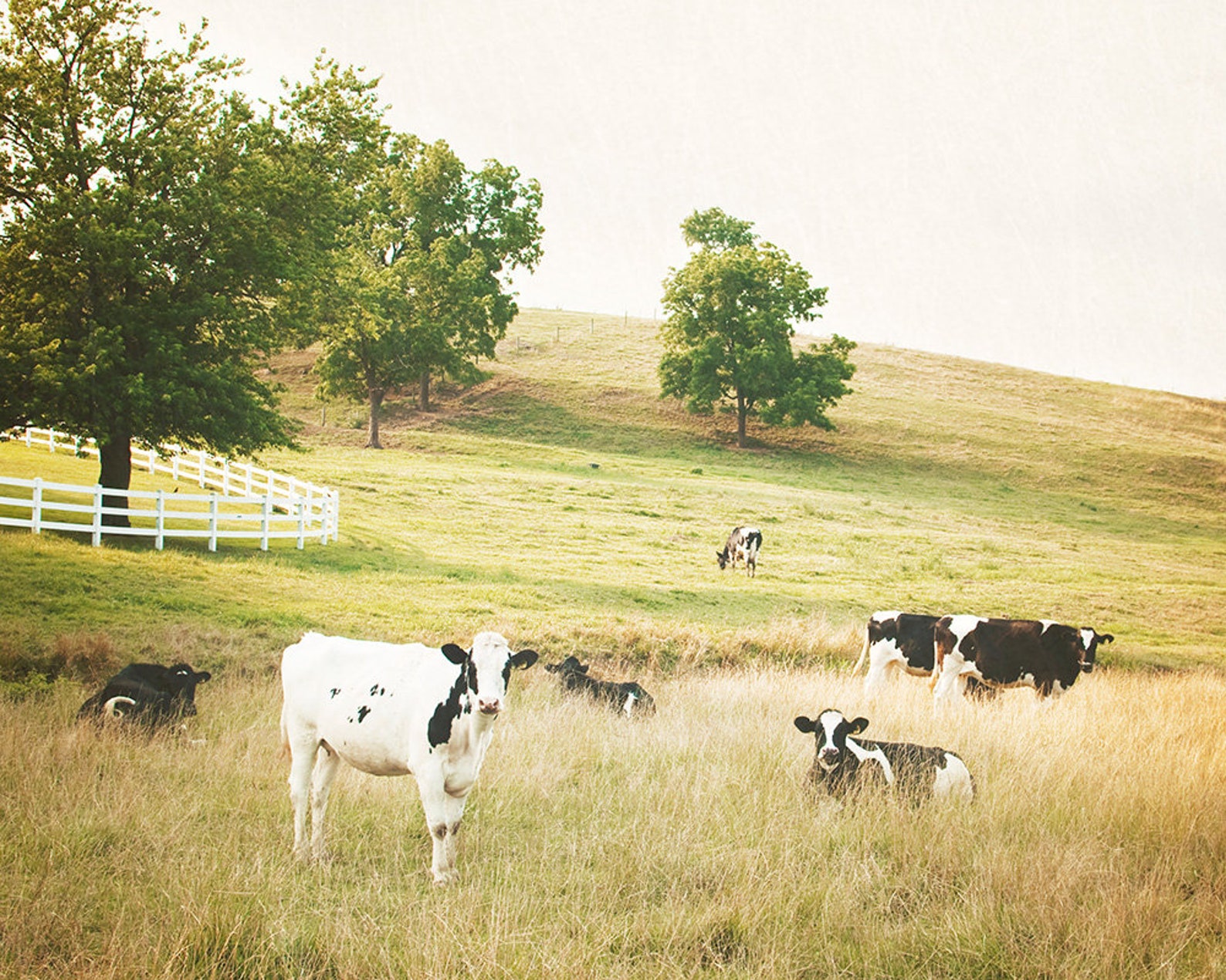 Farmhouse Photography Country Artwork Set of Three Wall | Etsy
