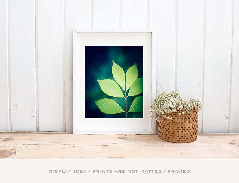Art Prints Green, Botanical Photo - Leaf Photography Nature, Plant ...