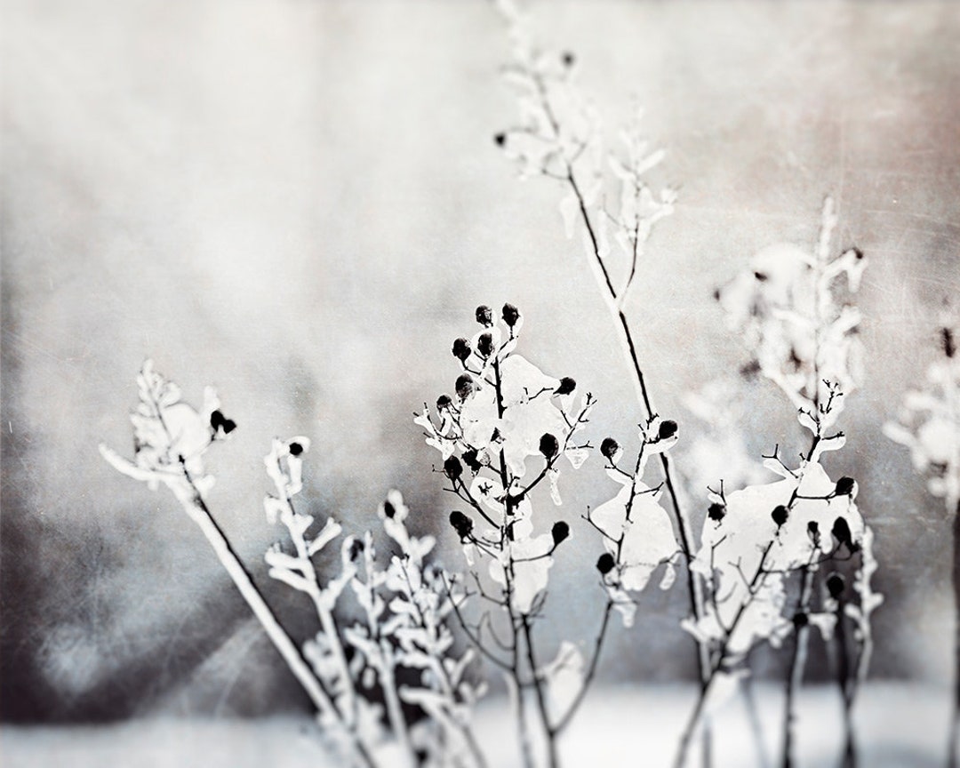 Black and White Winter Print, Snow Wall Decor, Grey Christmas Decor ...