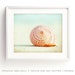 Pastel Beach Print Sea Shell Wall Decor Seashell Print - Etsy