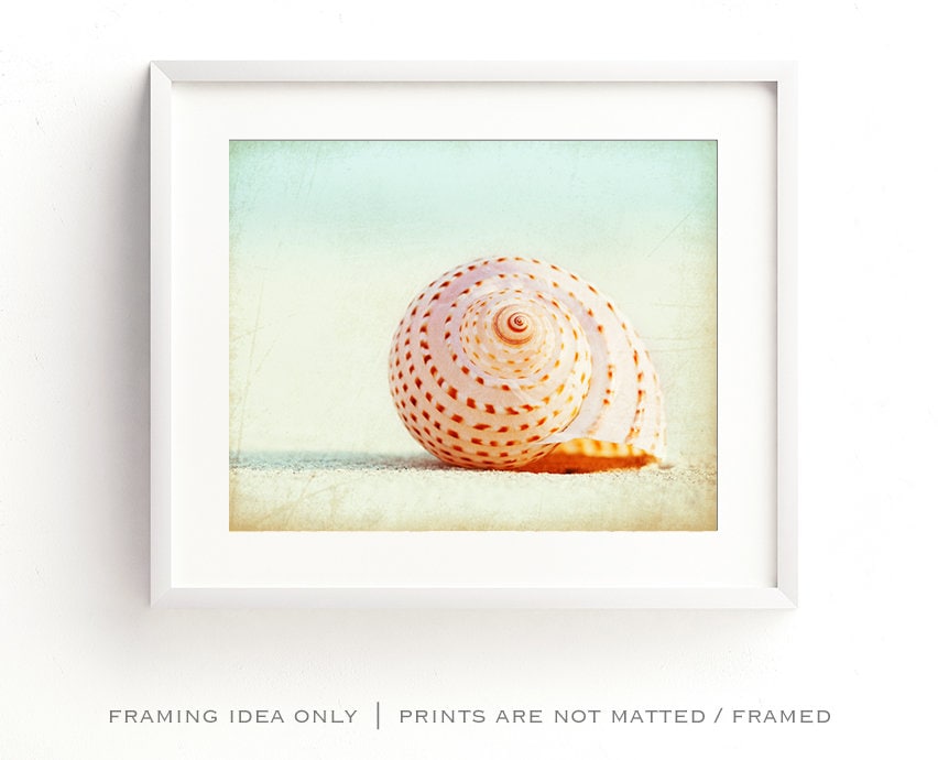 Pastel Beach Print, Sea Shell Wall Decor - Seashell Print, Shabby Chic ...