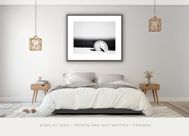 Sea Shell Wall Decor Large Beach Wall Art Black White - Etsy