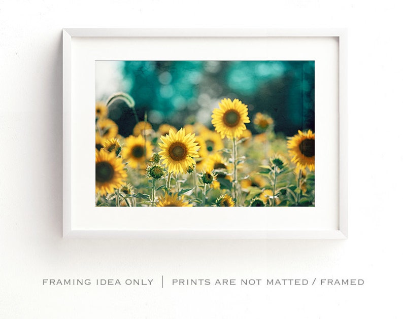 Sunflower Photography - Yellow Teal Flower Art Print Turquoise Aqua ...