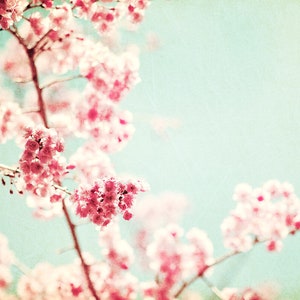 Mint Wall Art, Pink Flower Photography - Shabby Chic Wall Art, Girl ...