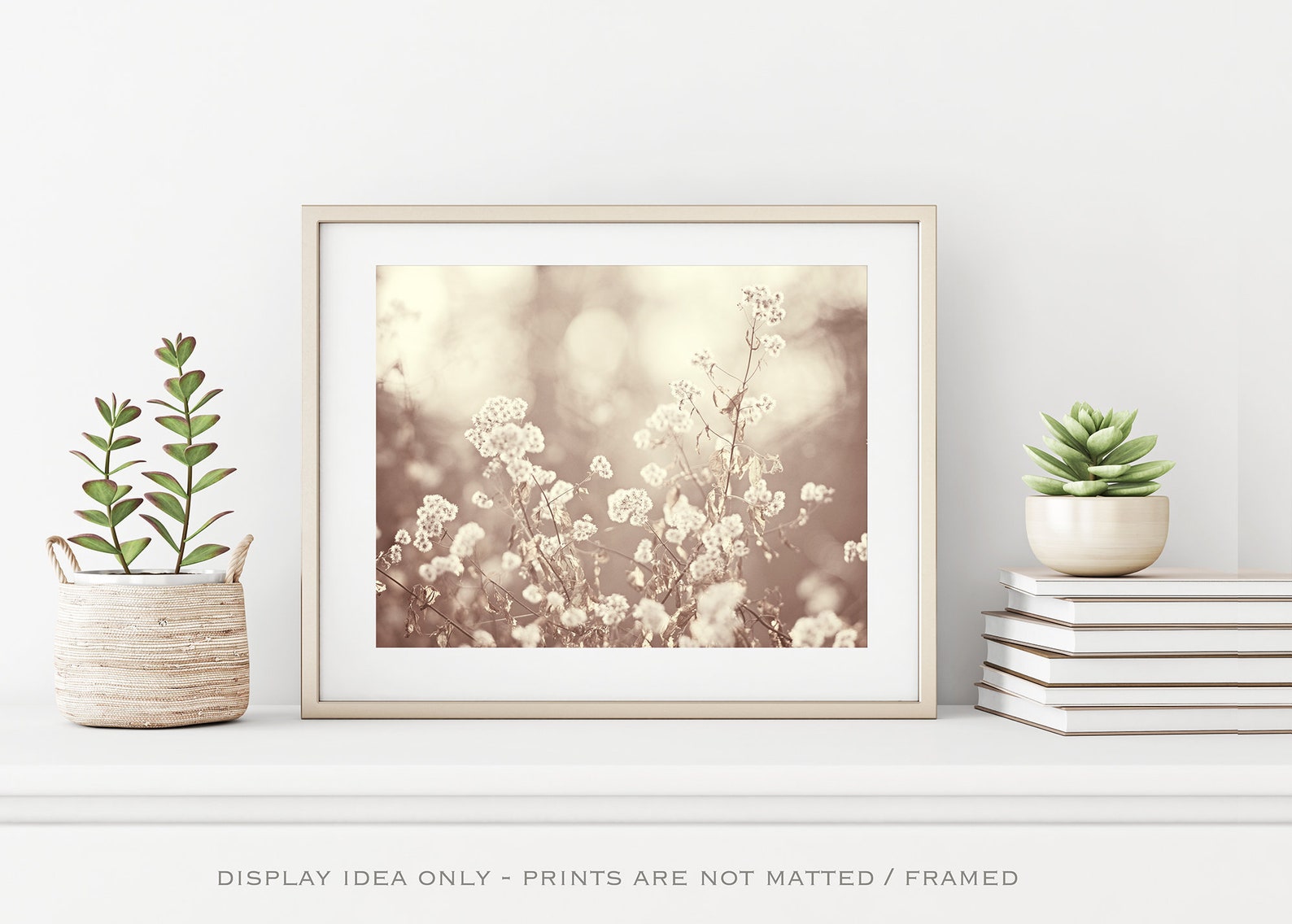 Neutral Wall Art Beige Nature Photography Light Brown Cream - Etsy