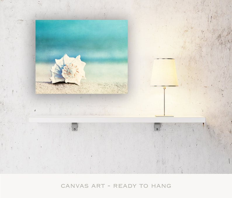 Sea Shell Wall Decor Beach Canvas Wall Art Shell Artwork | Etsy