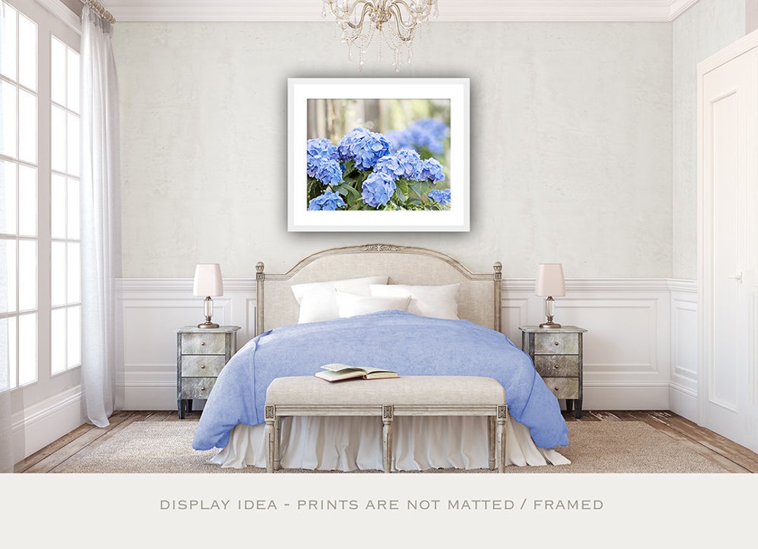 Blue Hydrangea Flower Photography, Periwinkle Floral Picture, Spring ...