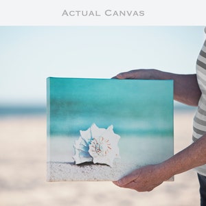 Sea Shell Wall Decor - Beach Canvas Wall Art, Shell Artwork, Coastal ...
