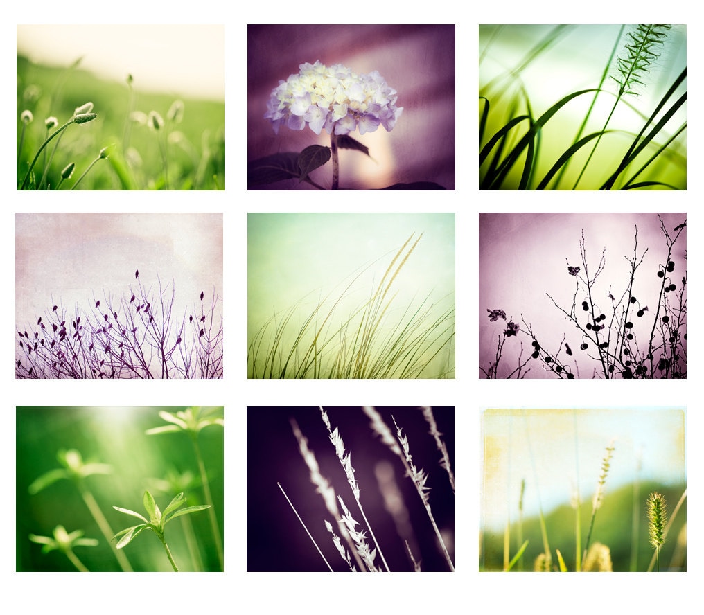 Gallery Wall Art Set of 9 Nature Prints Set of Nine - Etsy