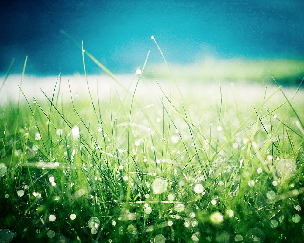 Abstract Photography Large Canvas Art Prints Green Royal | Etsy