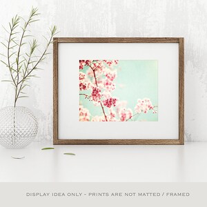 Mint Wall Art, Pink Flower Photography - Shabby Chic Wall Art, Girl ...