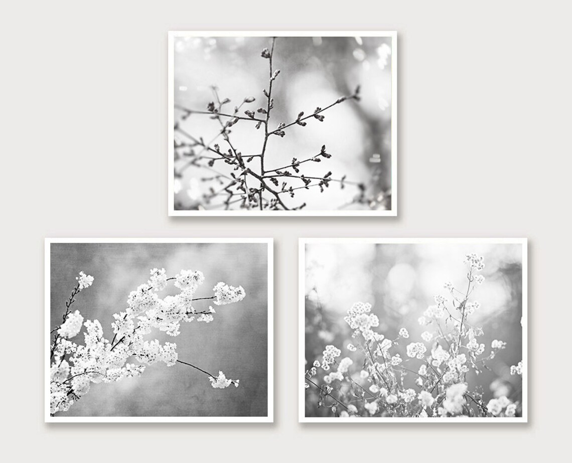 Grey Nature Photography Set Gray Black and White Nursery | Etsy