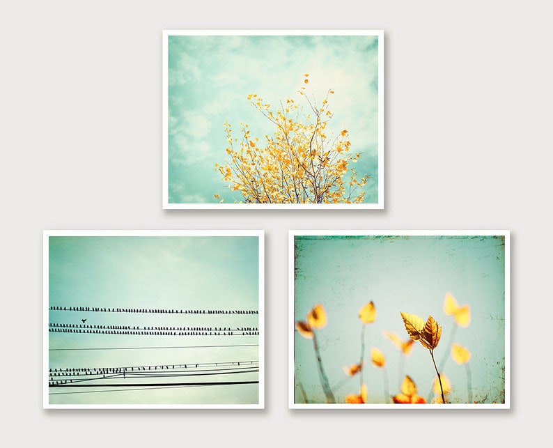 Mint Print Set Three 11x14 8x10 Photographs Mint Green - Etsy