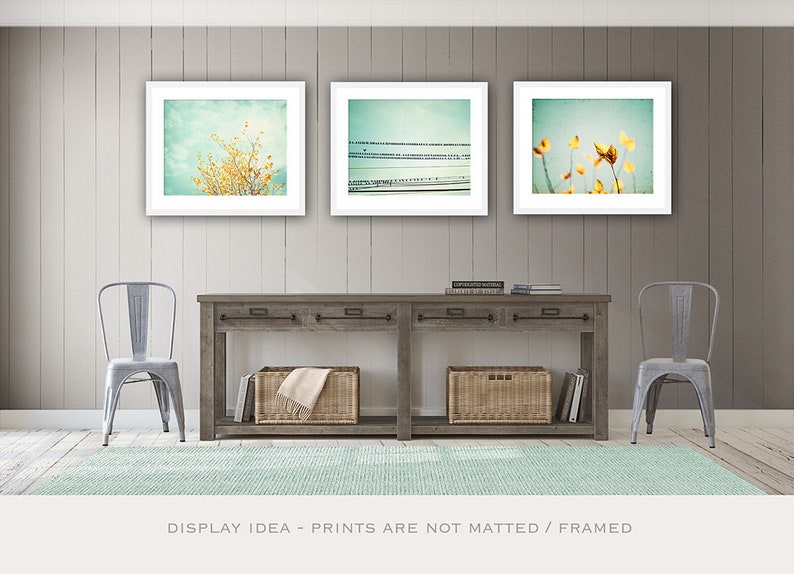 Mint Print Set Three 11x14 8x10 Photographs Mint Green - Etsy