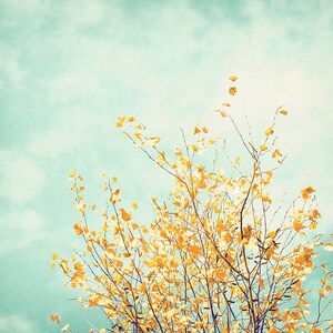 Large Canvas Tree Print - Photography Nature, Mint Nursery Decor ...