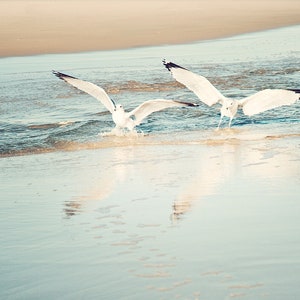 Coastal Canvas Photography Seagull Beach Light Blue White Beige Gallery ...