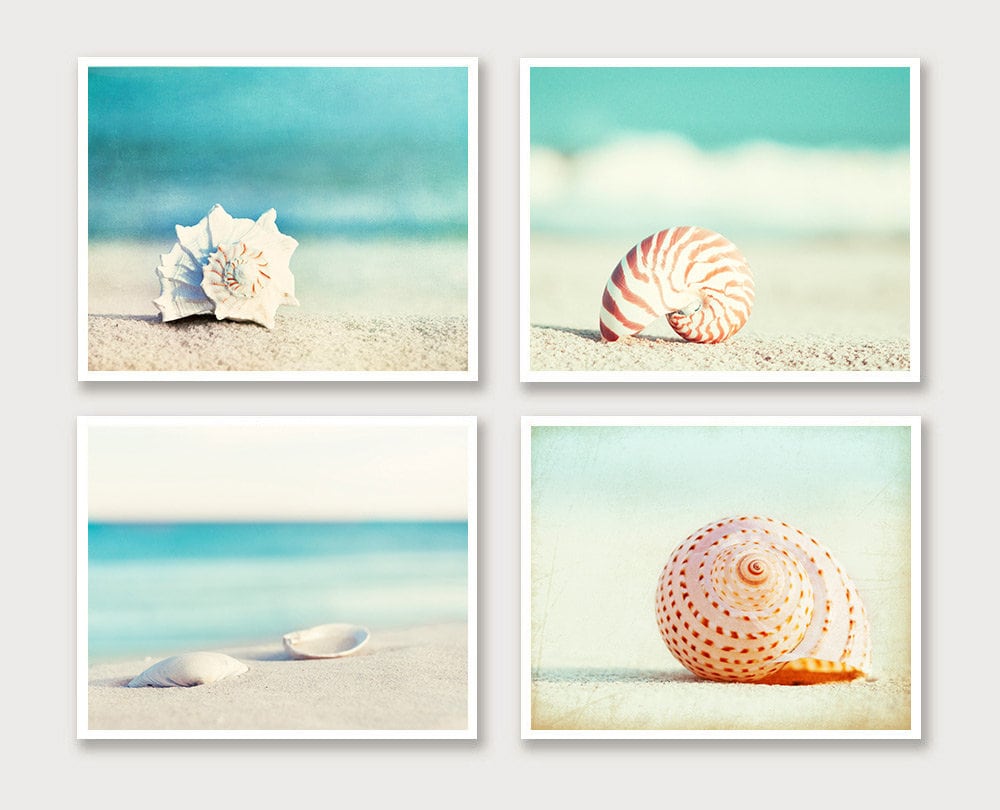 Beach Photography Set Four Photographs seashell sea shell | Etsy