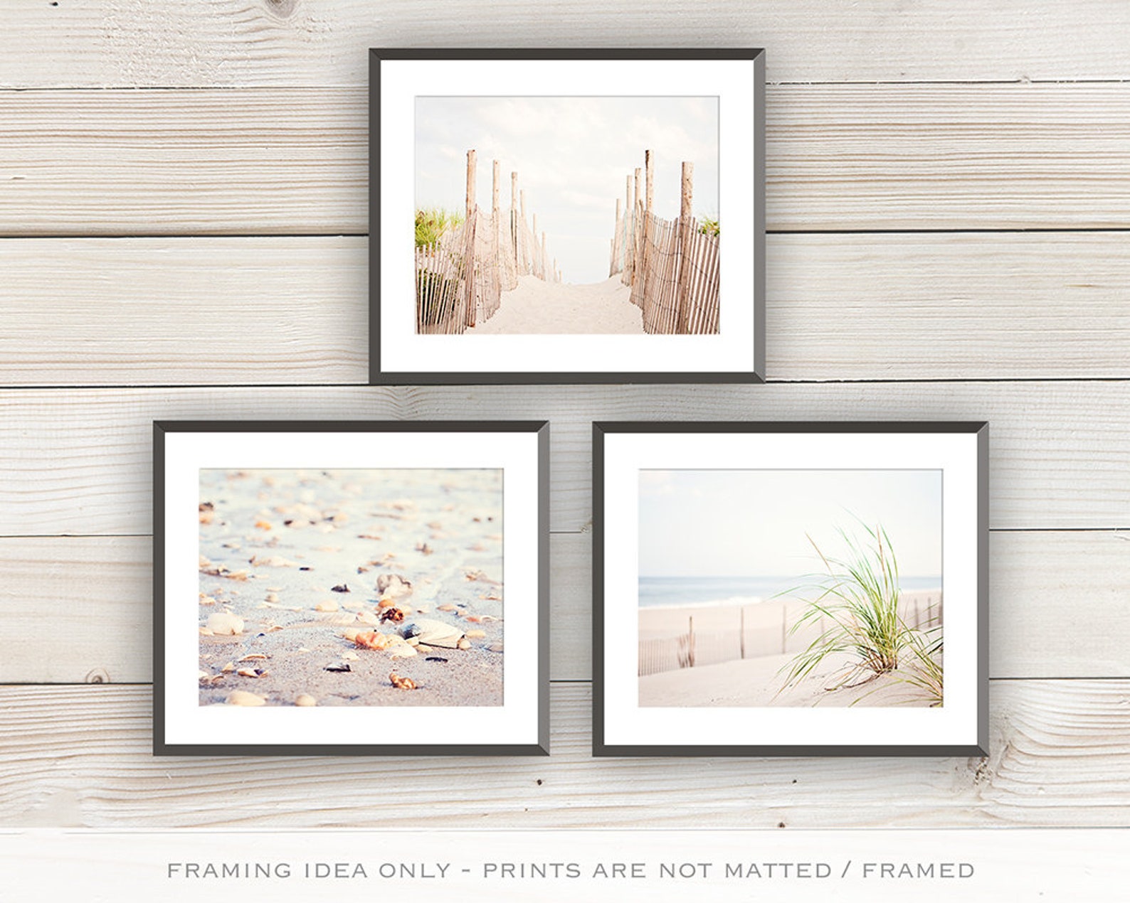 Neutral Beach Photo Set - Three 11x14, 8x10 Photographs - White Light ...