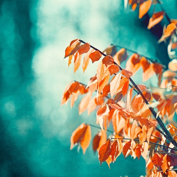 Teal Fall Decor - Etsy