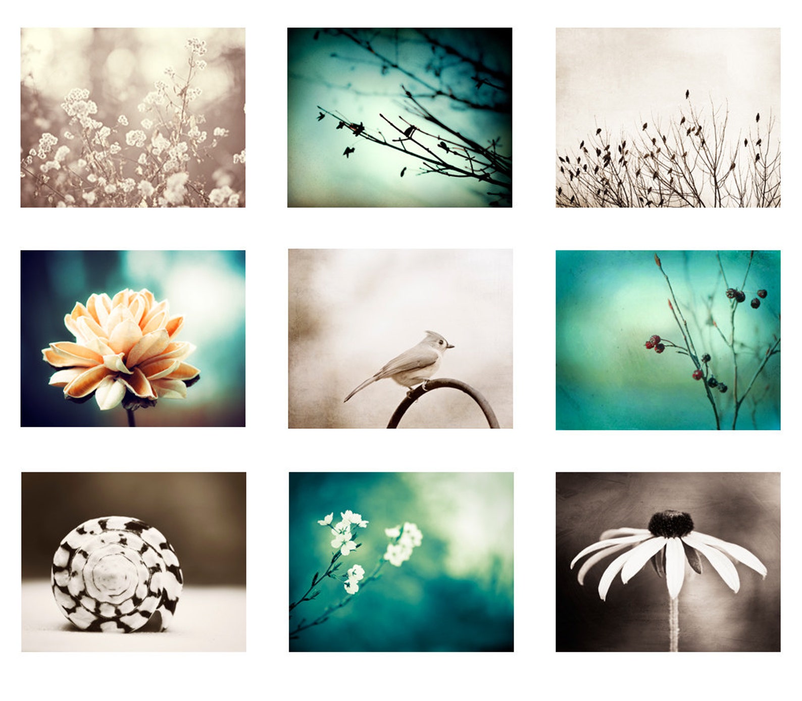 Gallery Wall Art Set of Prints 9 Nine Nature Photography Set | Etsy