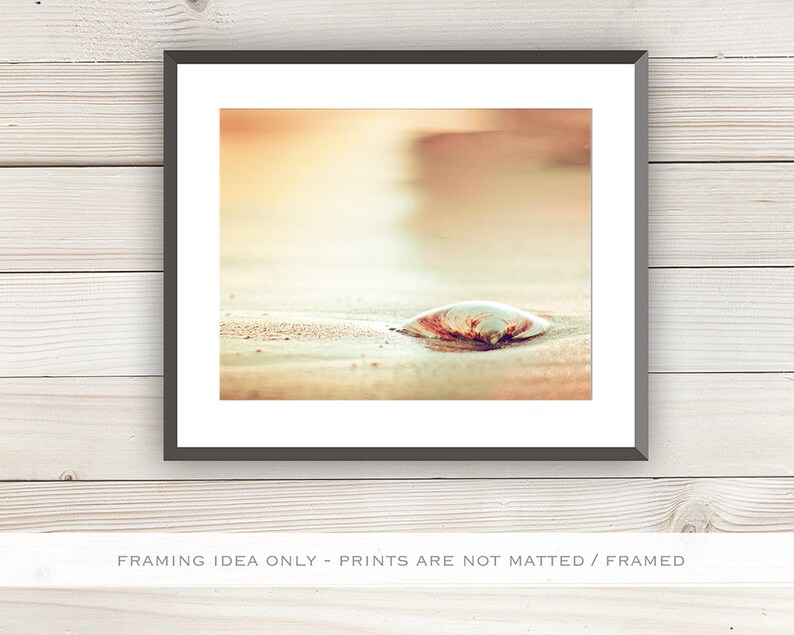 Seashell Print Beach Artwork Modern Coastal Decor Shell - Etsy