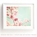 Mint Wall Art Pink Flower Photography Shabby Chic Wall Art - Etsy