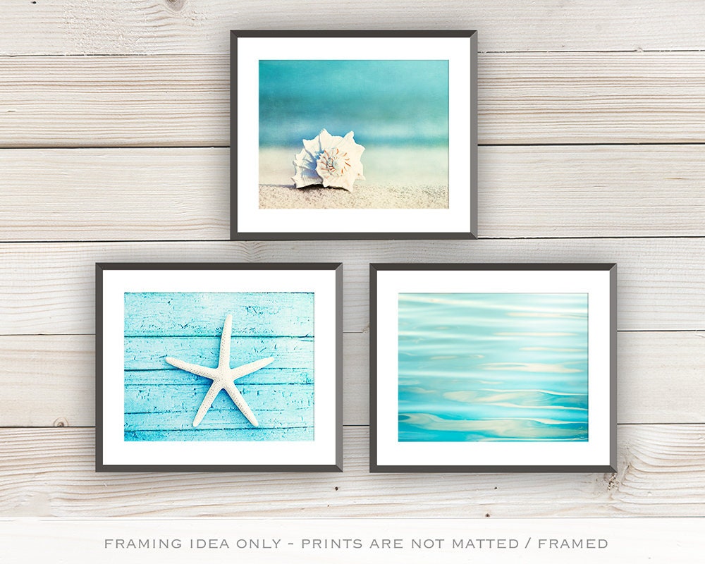 Coastal Wall Art Seashell Beach Decor Blue Bathroom Picture | Etsy