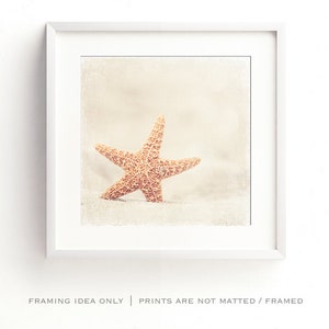Starfish Wall Decor Seashell Print - Large Beach Wall Art, Shabby Chic ...