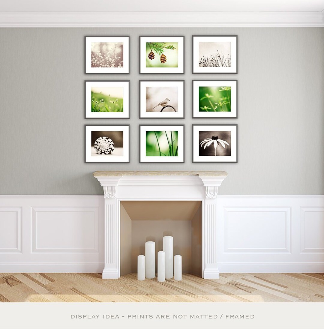 Green Brown Print Set - Beige Cream Nature Photographs Set of 9 Nine ...