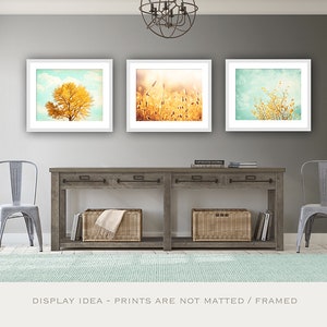Set of Three Wall Art, Nature Photography Set, Botanical Print Set of 3 ...