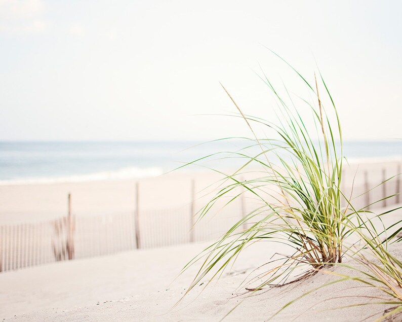 Neutral Beach Photo Set - Three 11x14, 8x10 Photographs - White Light ...