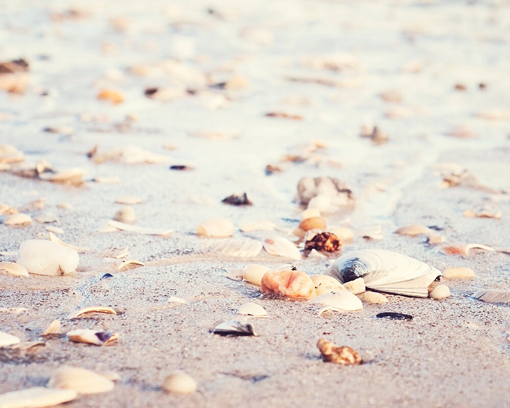 Neutral Beach Photo Set - Three 11x14, 8x10 Photographs - White Light ...