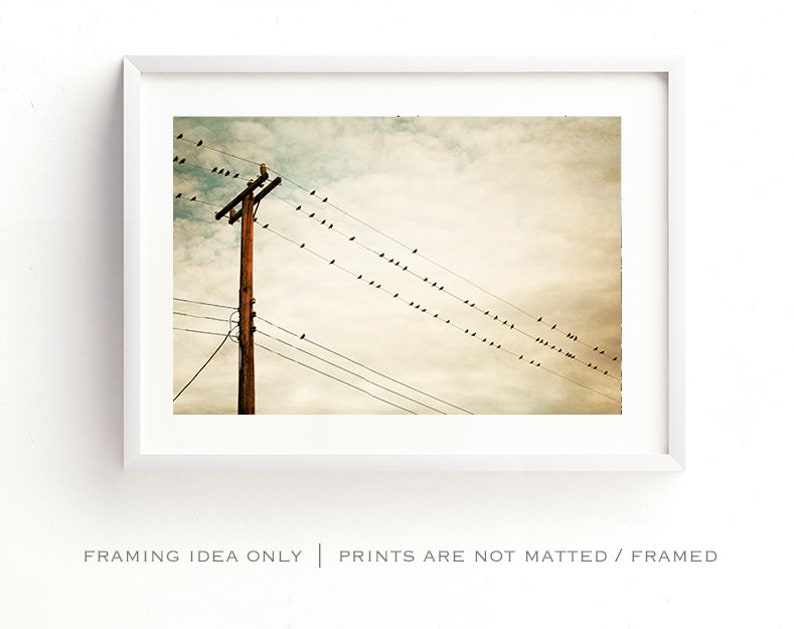 Modern Farmhouse Prints, Bird Photography - Rustic Country Home Decor ...