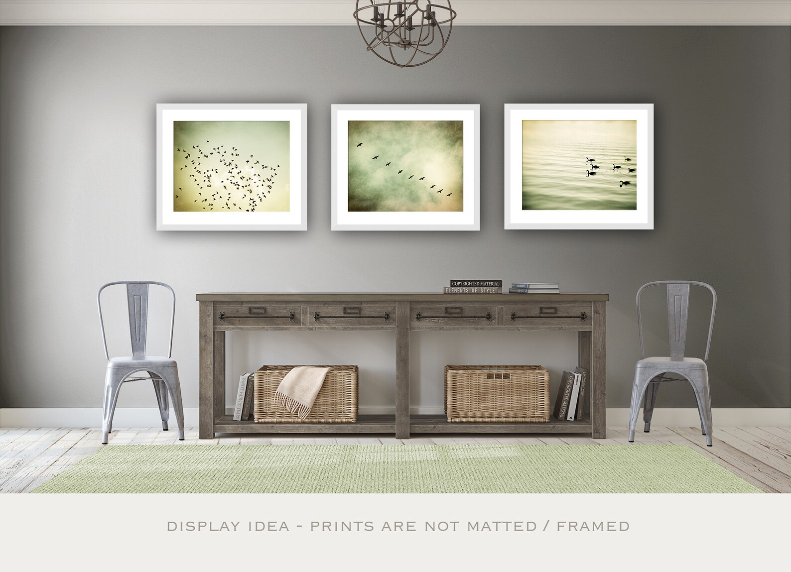 Picture Sets of 3 Bird Photography Set of Three Wall Art | Etsy