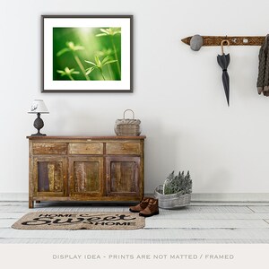 Modern Farmhouse Prints - Green Woodland Decor, Botanical Print, Plant ...