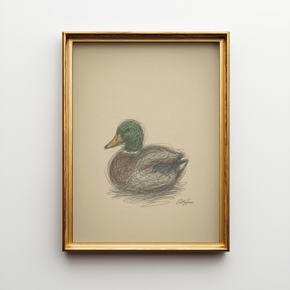 Mallard Duck Art Print: Messy Line Drawing, Abstract Scribble - Etsy