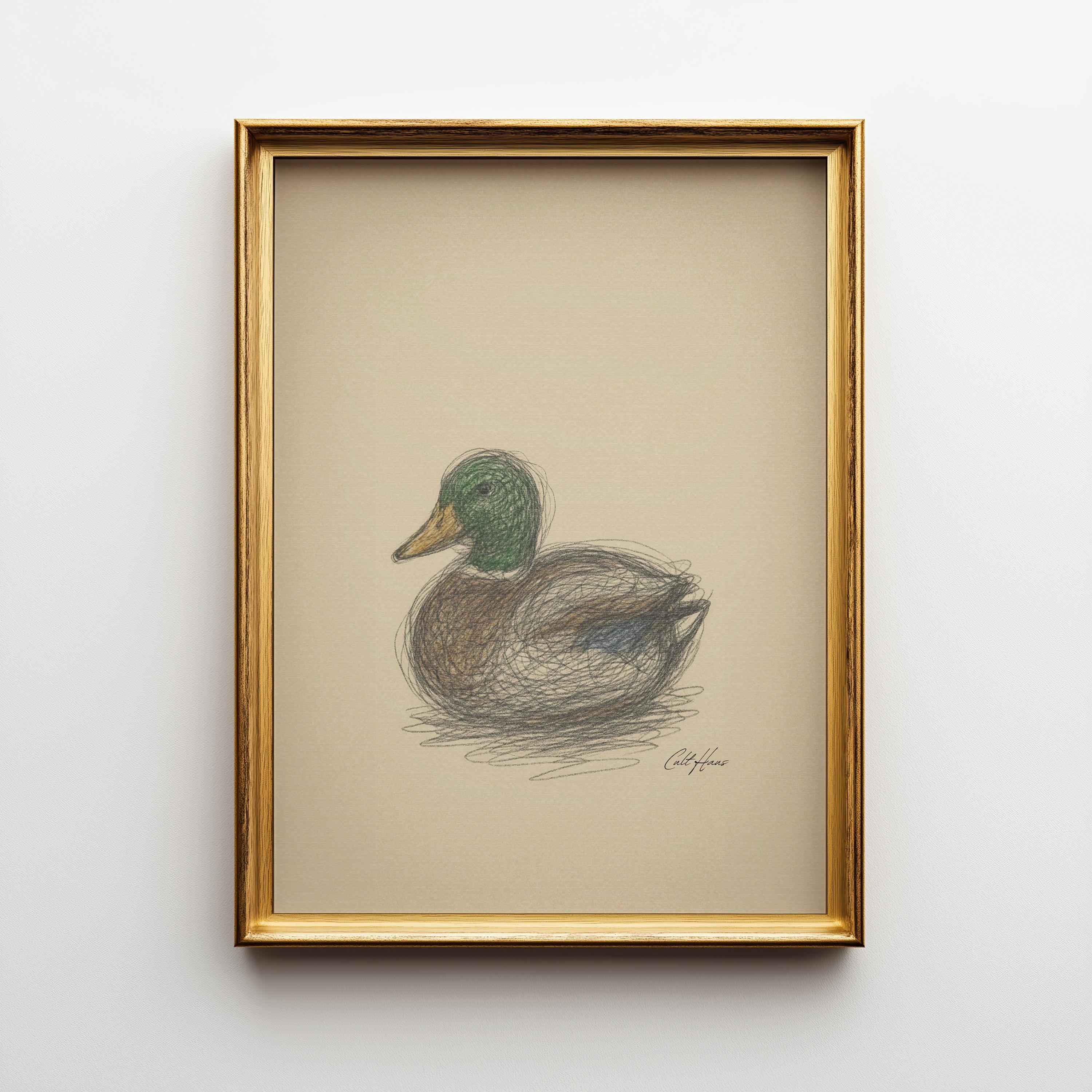 Mallard Duck Art Print: Messy Line Drawing, Abstract Scribble - Etsy