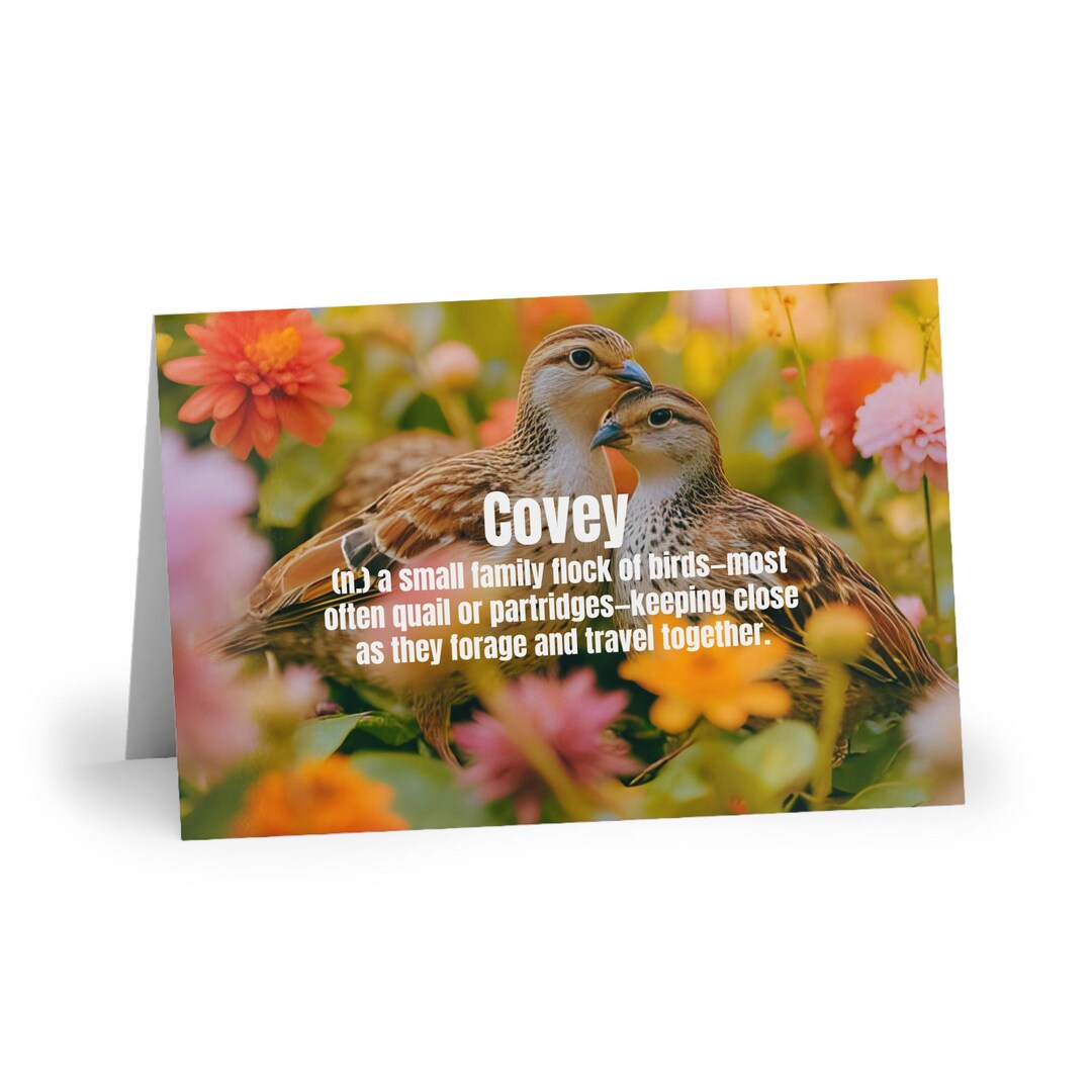 Covey Greeting Card | Togetherness & Family | Bird Lover Gift | Nature ...