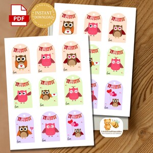 Cute Valentine Owl Gift Tags Printable | Love Owl Classroom Cards for ...