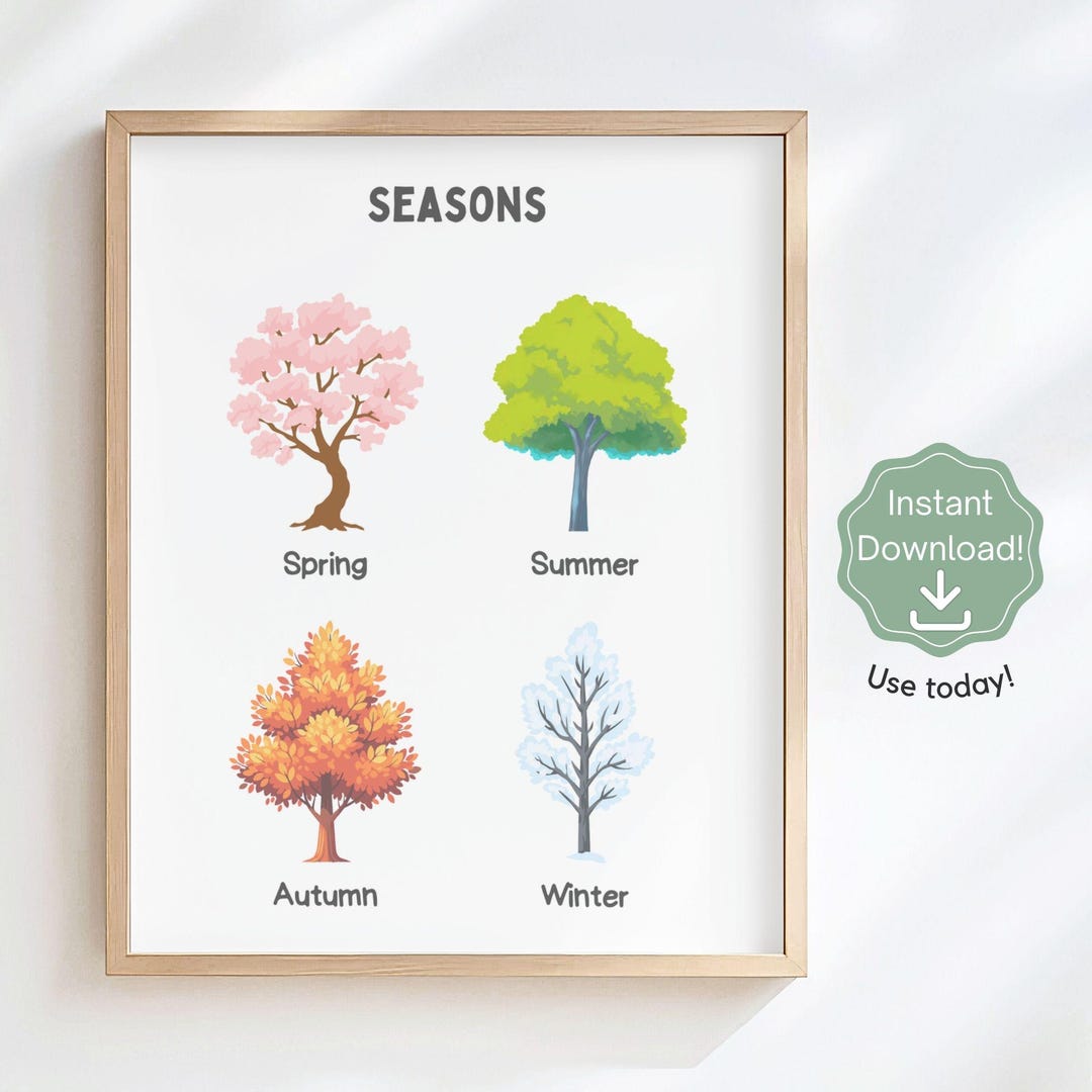 Education Poster for Kids, Four Seasons Wall Art, Classroom Science ...