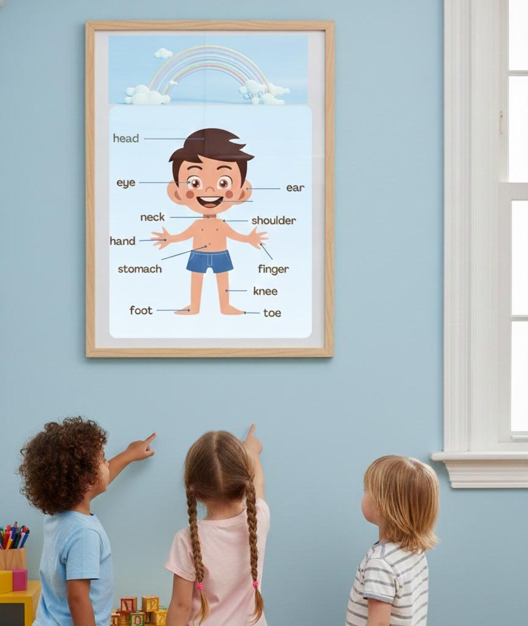 Labeled Body Parts Chart Rolled Posters | Kids Anatomy Poster | Bright ...