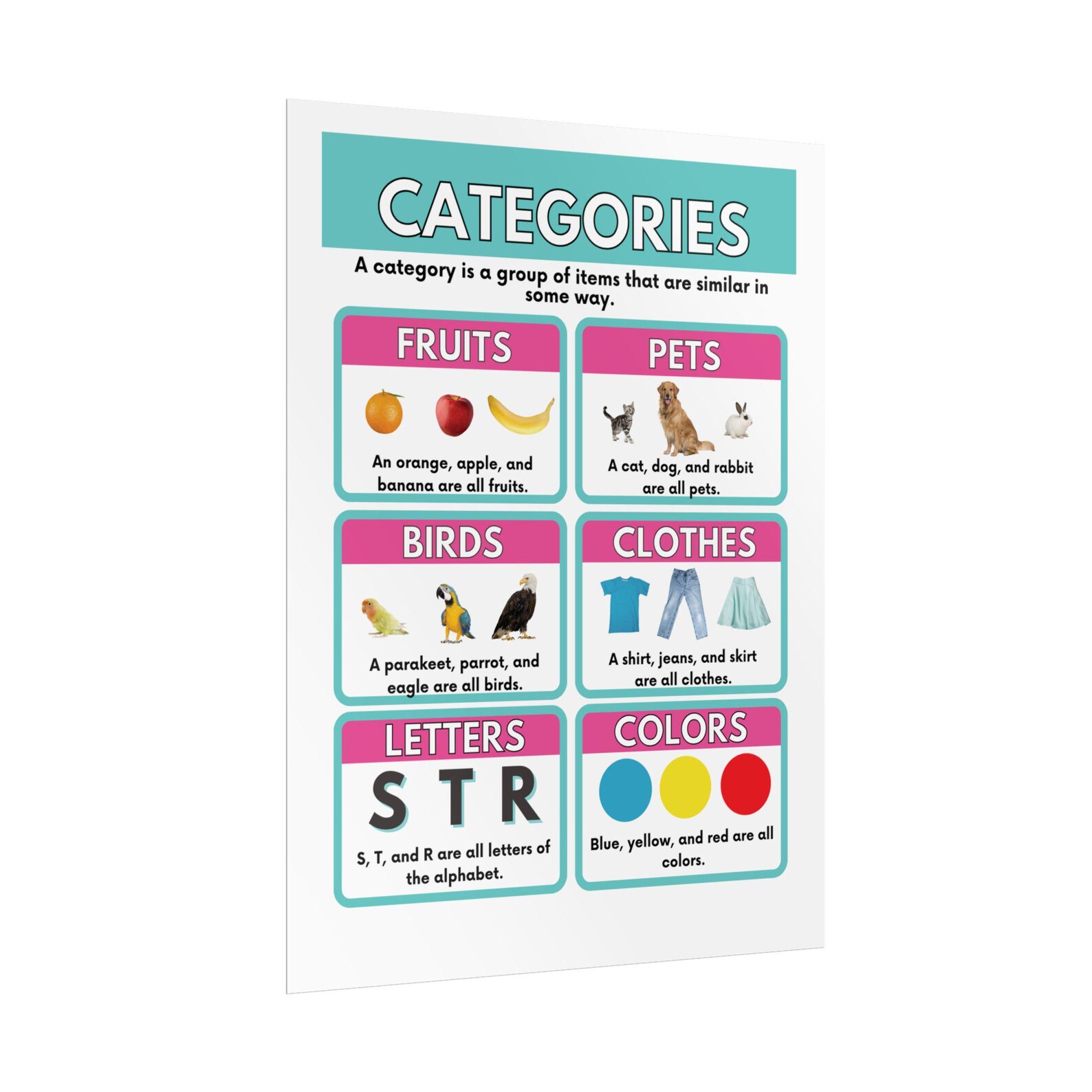 Categories Educational Poster Rolled Posters | Classroom Chart ...