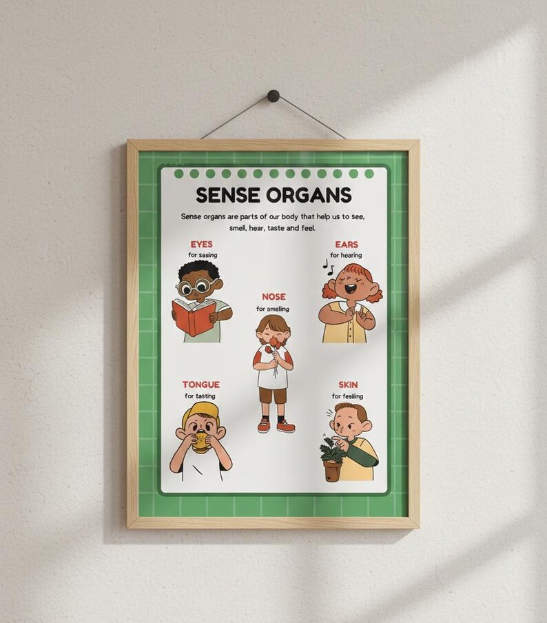 5 Senses Poster for Kids, Sense Organs Educational Wall Art, Montessori ...