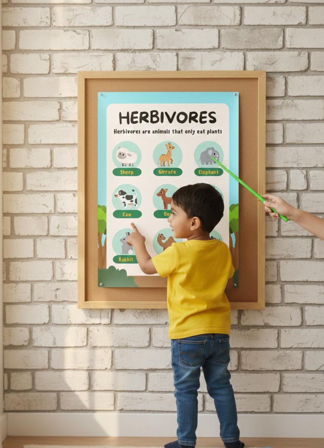 Tableau des animaux herbivores, affiches roulées | Décoration murale ...