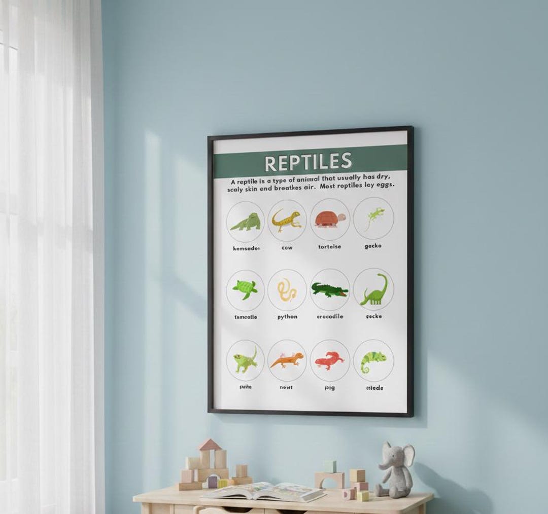 Reptiles Illustrated Chart Rolled Poster | Educational Animal Wall Art ...