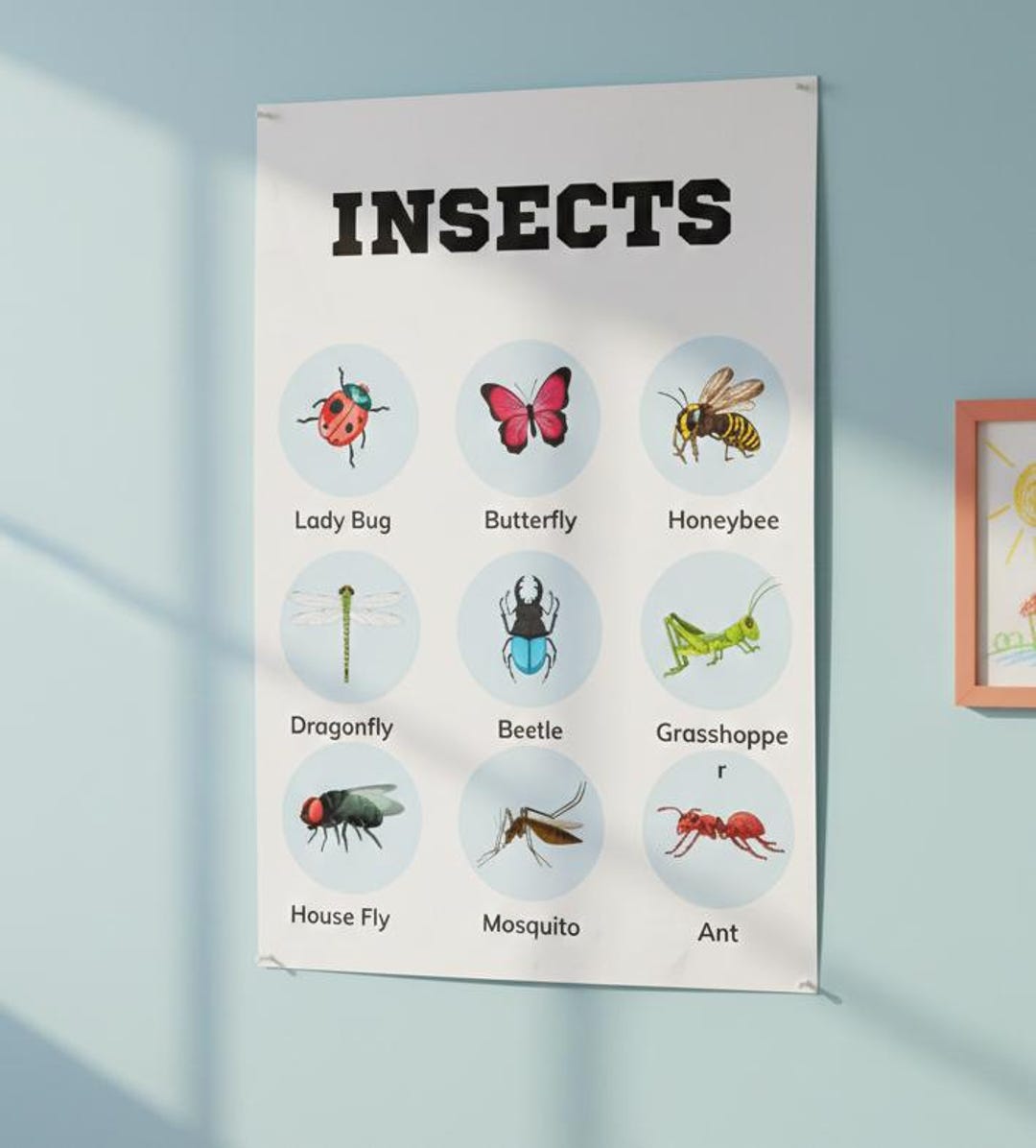 Insects Poster for Kids, Cute Bug Vocabulary Chart for Toddlers ...