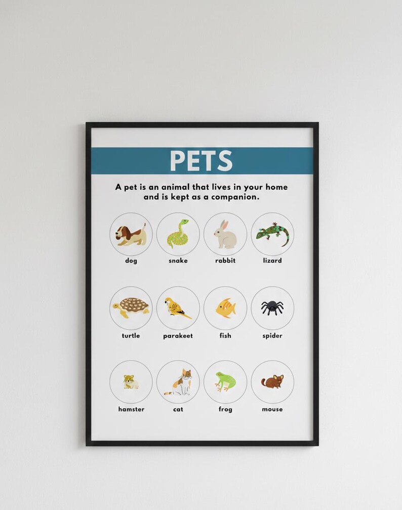 Pets Educational Poster, Domestic Animals Chart (digital Download) - Etsy