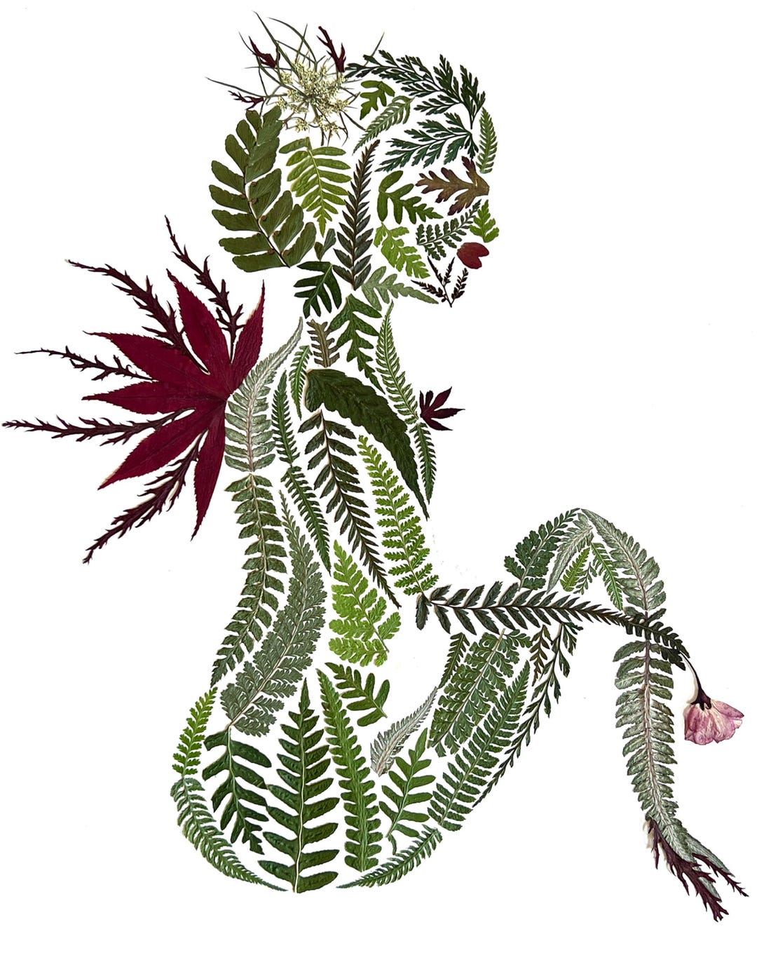 Pressed Fern Fairy Art Print Digital Download Botanical Contemplative ...